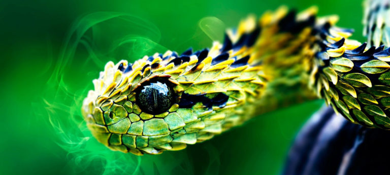 Poisonous Python Coding Malware In Python A Locker An Encryptor And A Virus Hackmag